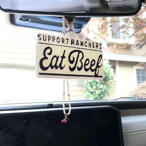 Cactus/succulent Pot - Car Freshie - Etsy