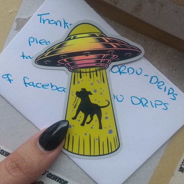 Flailing Cat / UFO Abduction Sticker Holographic Decal Graffiti - Etsy
