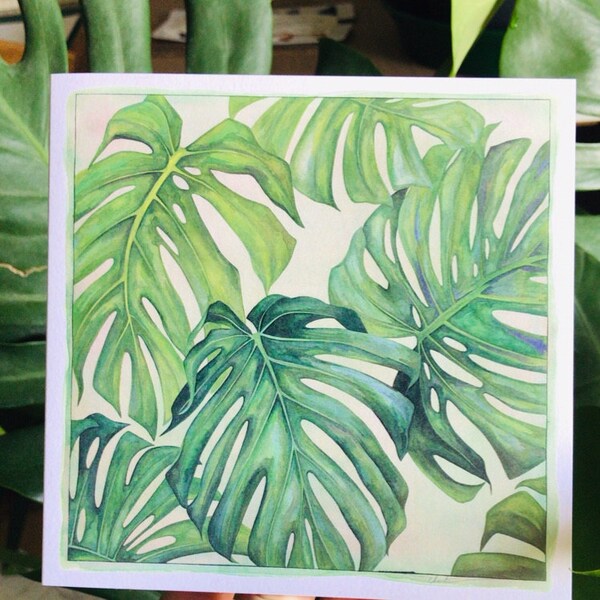 Monstera, Monstera Card, Birthday Card, Monstera Deliciosa, Square ...
