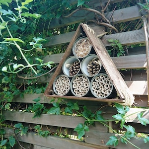 Beebug House With Clear Tubes you Can See How the Bees - Etsy UK