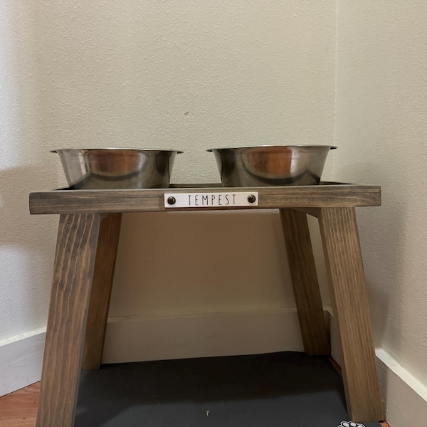 Modern Elevated Dog Feeder | Pretty Girl Dog Bowl Stand | Personalized ...