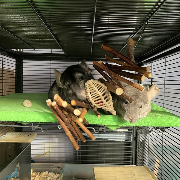 Petal Piñata – Chinchilla / Rat / Degu / Rabbit / Guinea Pig / Hamster ...