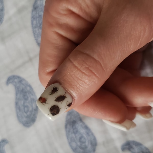 Beetle Waterslide Nail Decals | DIY Nail Art | Insect Nail Stickers ...