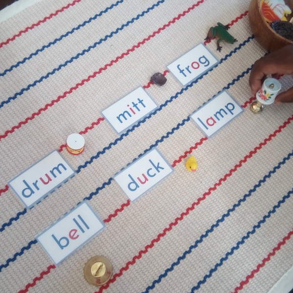 States of Matter - Montessori Three/four Parts Cards With FREEBIE! - Etsy