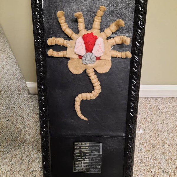Facehugger - Felt Anatomy - Biology, Aliens, Nostromo, Chest Burster ...