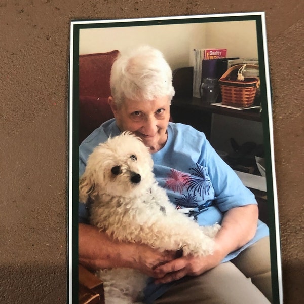 Printable Bangla Alphabet 50 Worksheets || Homeschooling Bangla ...