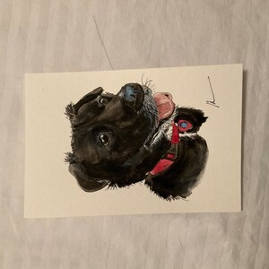 Greeting Card : LOVE Celebrate Graduation Party Opossum Possum Blank ...