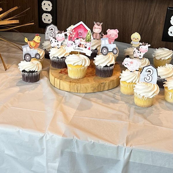 Dinosaurs Baby Shower Favors, Dinosaurs Personalized Artificial Plant ...