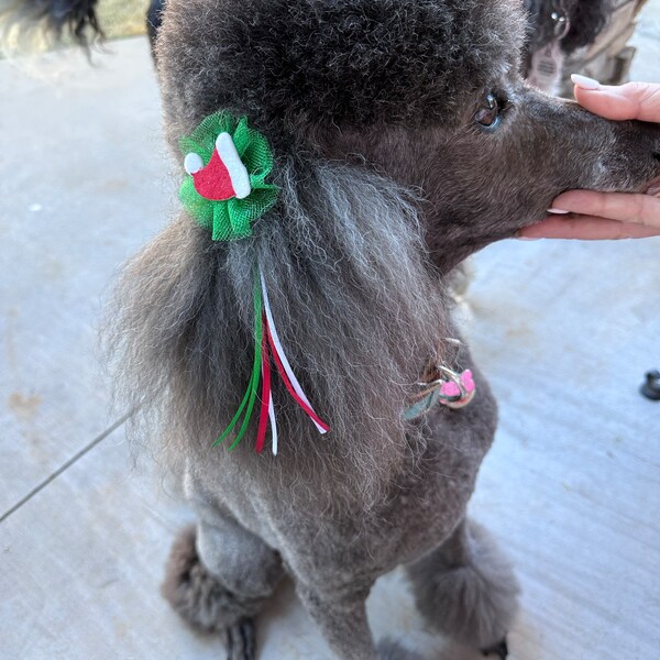 Plain DOG BOWS, Tulle Dog Bows, Grooming Dog Topknot Bows - Etsy