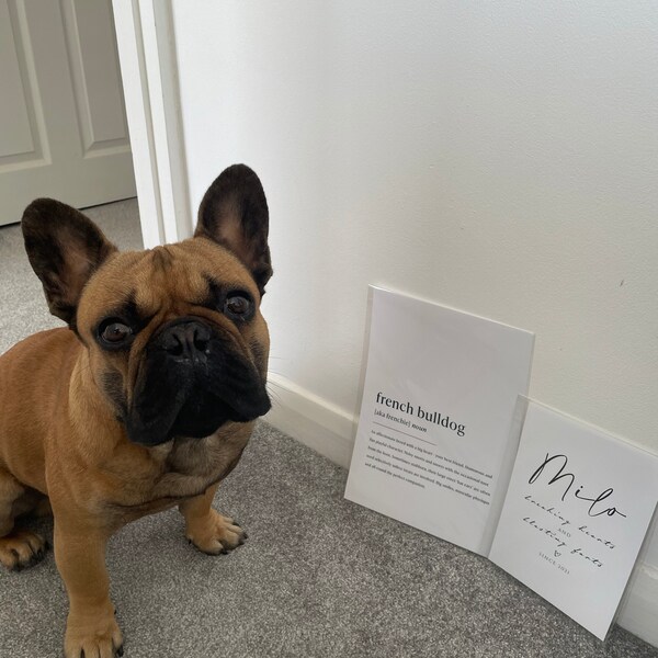 French Bulldog Definition Print | Wall Art | Living Room | Bedroom ...