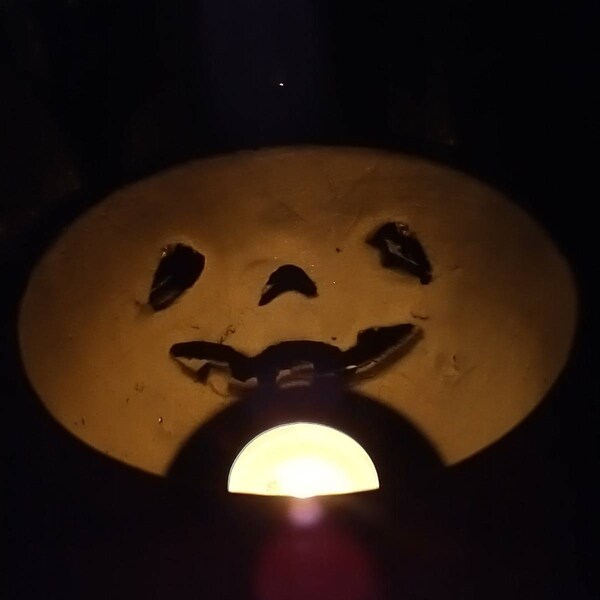 Crow - CORVUS - Kraai , LUXURY Mini Dome - Heketa - Etsy