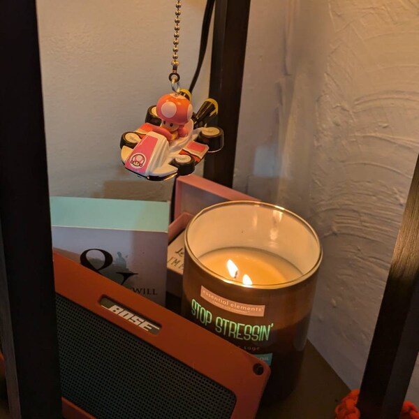 Sonic the Hedgehog Characters Ceiling Fan/light Pull Chains Sonic ...