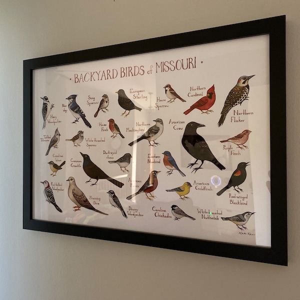 Missouri Backyard Birds Field Guide Art Print / Watercolor Painting ...