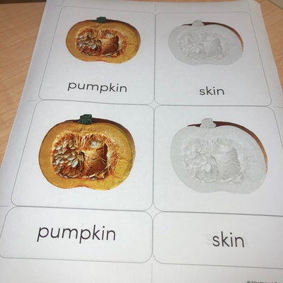 Montessori 3 Part Cards Parts of a Rabbit - Etsy