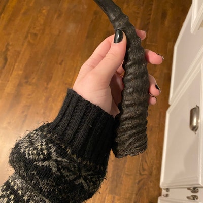 Real Springbok Horns Large Horns From Springbok Skull - Etsy