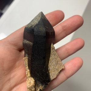 Authentic K-T Boundary kpg Boundary Sediment Layers - Etsy