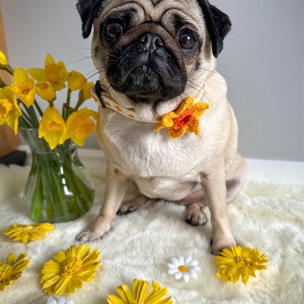 Freda’s Forget Me Nots, Flower, Crochet Forget Me Nots, Blue Flowers ...