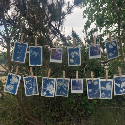 Cyanotype Stencils, Diy Craft, Cyanotype Kit Just Stencils, Cyanotype ...