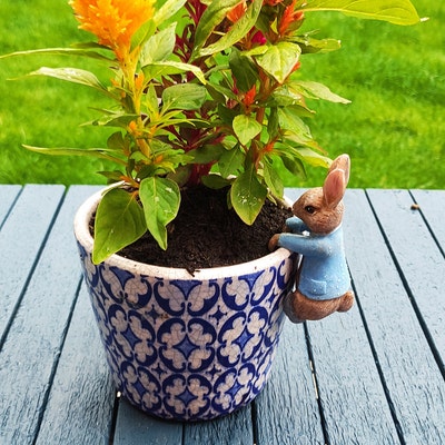 Peter Rabbit Pot Buddy Pot Hanger Beatrix Potter Gift Boxed Pot Buddies ...