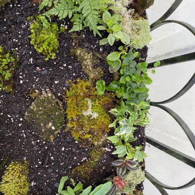 Vibrant Skeleton Acrylic Painting on Dark Blue Canvas - Etsy