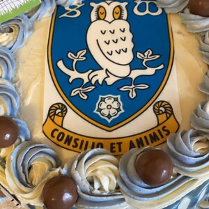 Fifa 16 Game Cover Cake Topper Edible Icing - Etsy