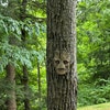 Funny Faces for Trees With Blue Eyes and Red Lips. Lady Face Sculpture ...