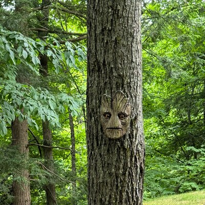 Tree Face Garden Decoration, Outdoor Ornaments, Funny Faces, Face ...