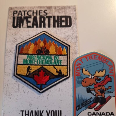 Motorcycle Helmet Sticker Cat on Motorcycle Sticker Gift for Cat Lovers ...