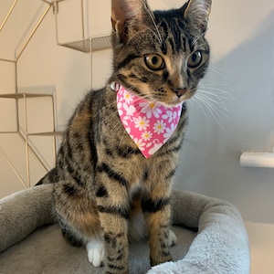 Felt Catnip Choc Chip Cookie Cat Toy - Etsy