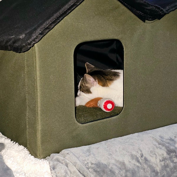 Severed Leg Catnip Toy / Zebra Leg / Cat Toy / Pet Gift / Cat Lover ...