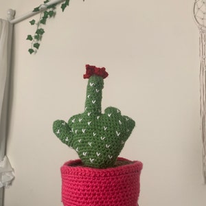 Cactus Hand CROCHET PATTERN / Amigurumi Cactus PDF English - Etsy