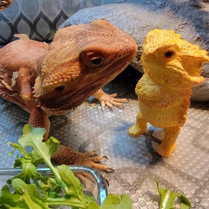 Bearded Dragon Sculpture Large Watching Over | Etsy