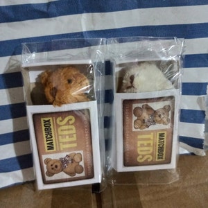 A Hedge-hug for You in a Box Mini Prickly Hedgehog Gift | Etsy