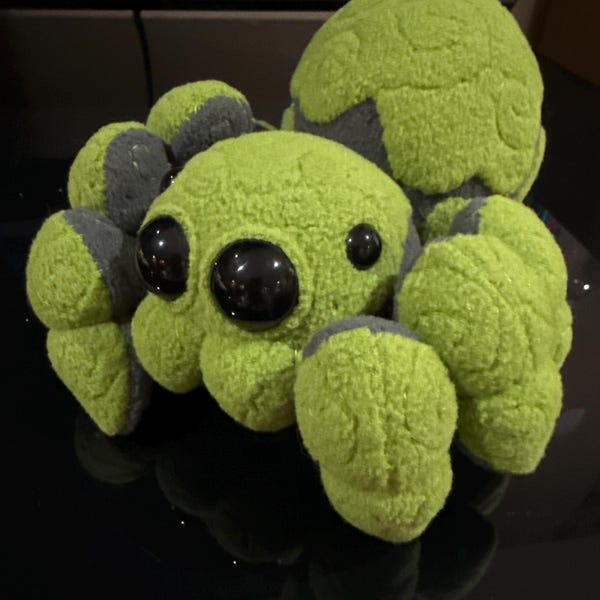 6 Donut Spider Plushie - Etsy