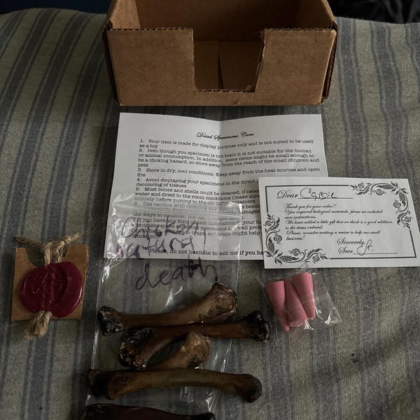 Rare! Black Rooster Bone Set for Divination - Throwing Bones - Bones ...
