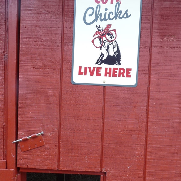Cute Chicks Sign, Sign for Chicks, Farmers Coop, Chicken Home, Chick ...