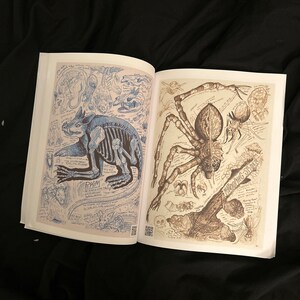 Fireco Monster, a Cryptid Centipede: Insect Bestiary Art Print - Etsy