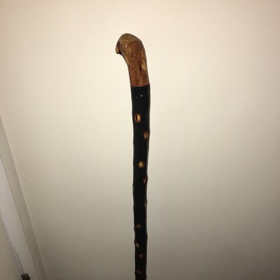Irish Blackthorn Walking Stick 35 Inchs Long 3x2 Rootball Handle 500 ...