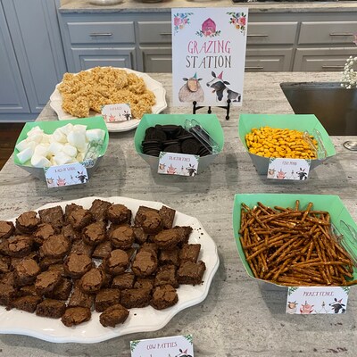 Grazing Station Food Party Sign Farm Birthday Sign Table Decor Barnyard ...