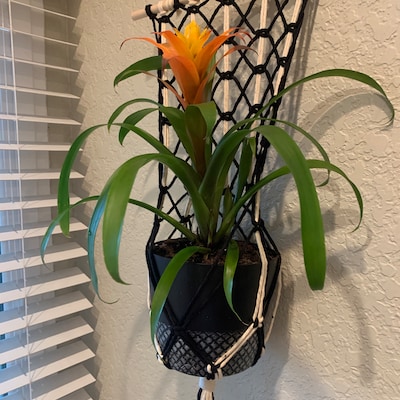 Macrame Plant Hanger, Extra Long Plant Hanger, 63 Inches Long - Etsy