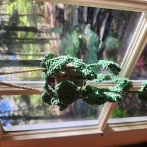 Crochet Car Plant Pothos PATTERN ONLY Pamelambie Tiktok - Etsy