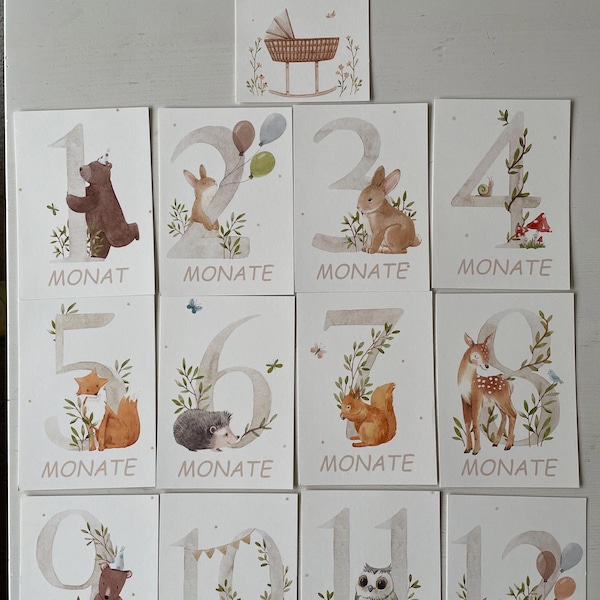 Meilensteinkarten Baby, 12 Monatskarten, Mein erstes Jahr - Tiere Wald ...