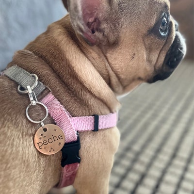 Pet Tag Personalized Dog Tag Dog Collar ID Tag - Etsy