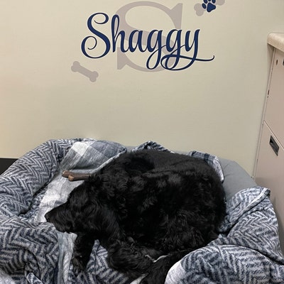 Personalized Dog Wall Decal Dog Name Sticker Dog Name Sign Custom Name ...