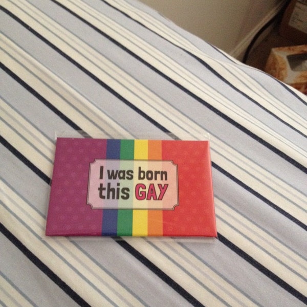 LGBT Gay Rainbow Pride Flag Vest Shirt Outfit Clothing, Drag Queen ...