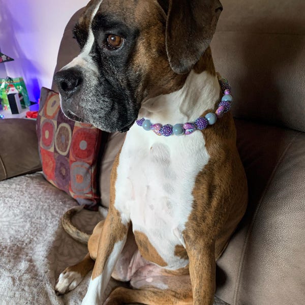 Pink Fizz Dog Bead Collar, Fancy Dog Pearl Necklace, Fuchsia Beaded Dog ...