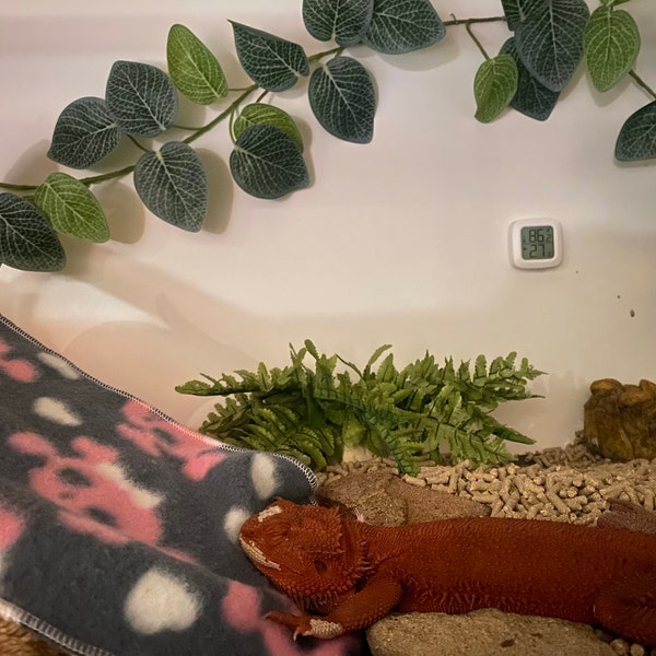 Bearded Dragon Ramp Covers or Tank Floor Mats Pet Mat or Pad - Etsy