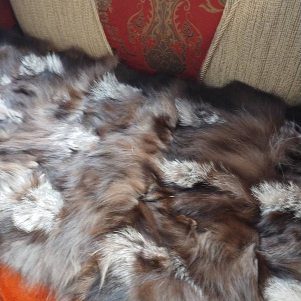 Genuine Finland Raccoon Large Size Hunting Animal Pelt Fluffy Soft ...