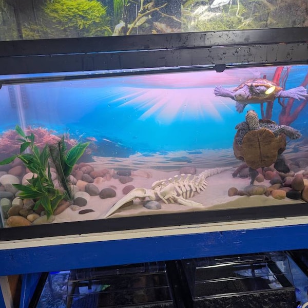 Model Whale Skeleton Aquarium Decoration - Etsy