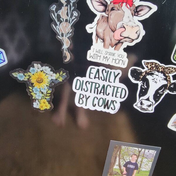 Texas Sticker Pack, Texas Stickers, Texas State Stickers, Texas Flowers ...